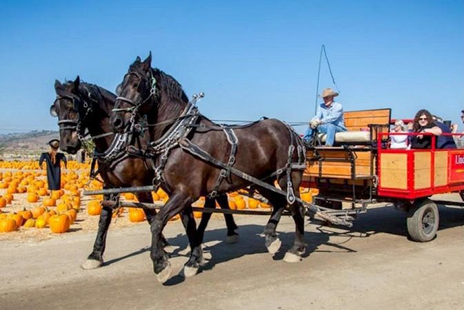 Annual Events - Visit Simi Valley