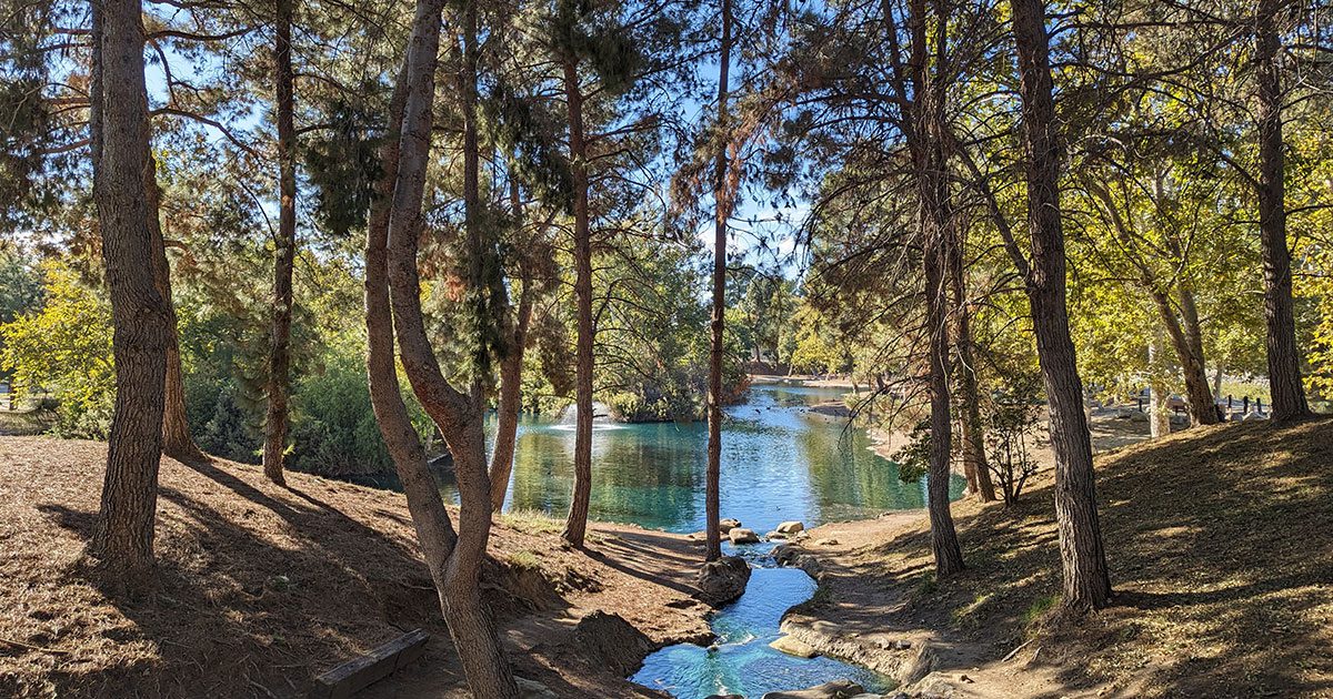 International Day of Peace Celebration